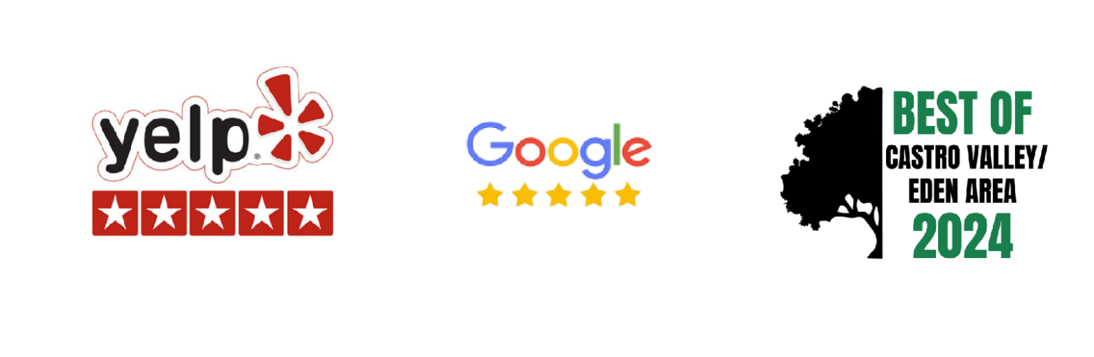 Bay Area SEO Services San Francisco Digital Marketing